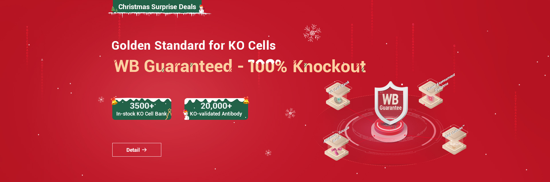 Knockout Cell Lines | KO Cell | Ubigene