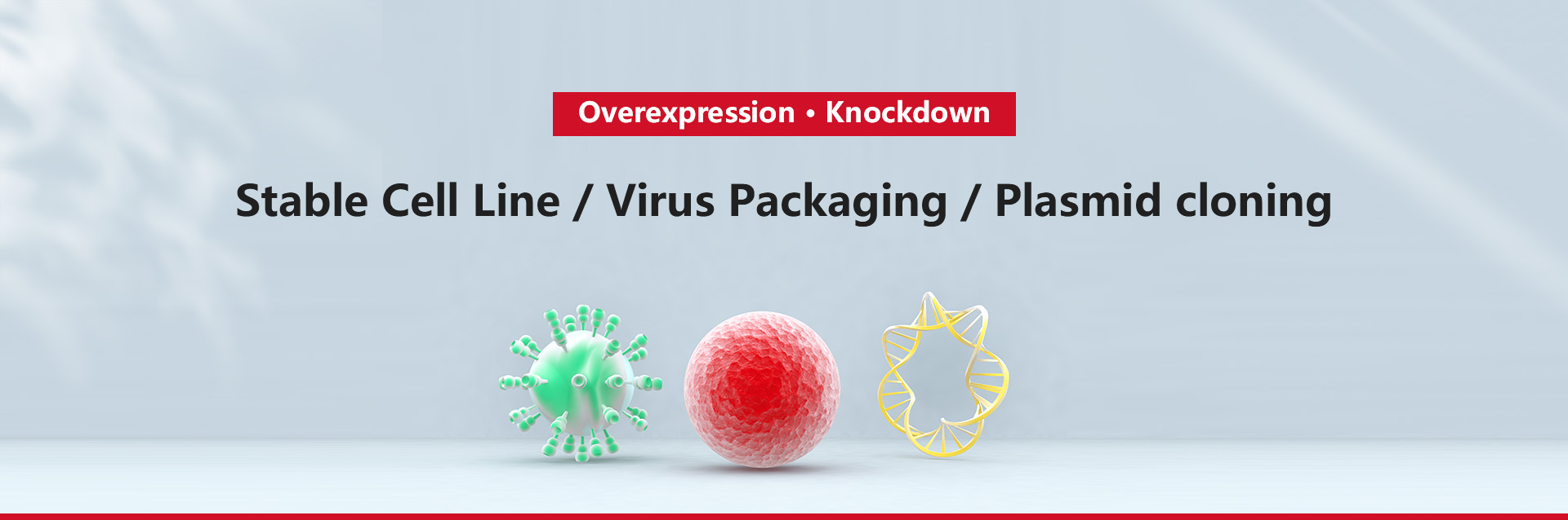 Knockout Cell Lines/ Microbe | Ubigene