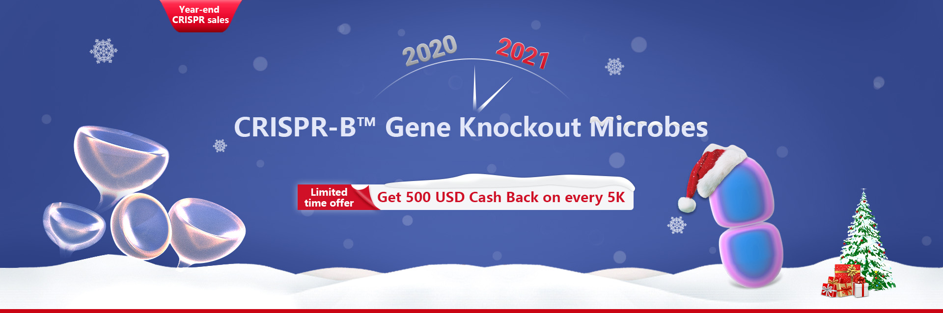 Knockout Cell Lines/ Microbe | Ubigene