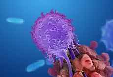 Knockout Cell Lines | KO Cell | Ubigene