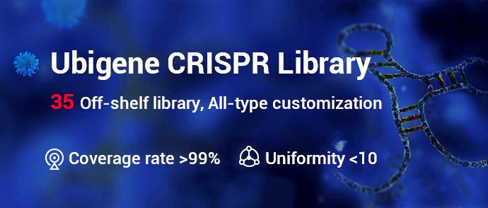 CRISPR Screen: Detailed Library Introduction | Ubigene