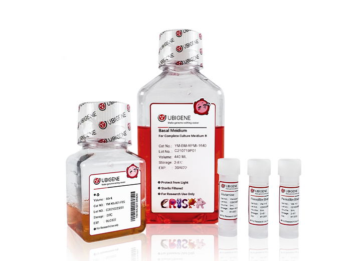 Jurkat Cell Culture and Gene Editing Tips Here! | Ubigene