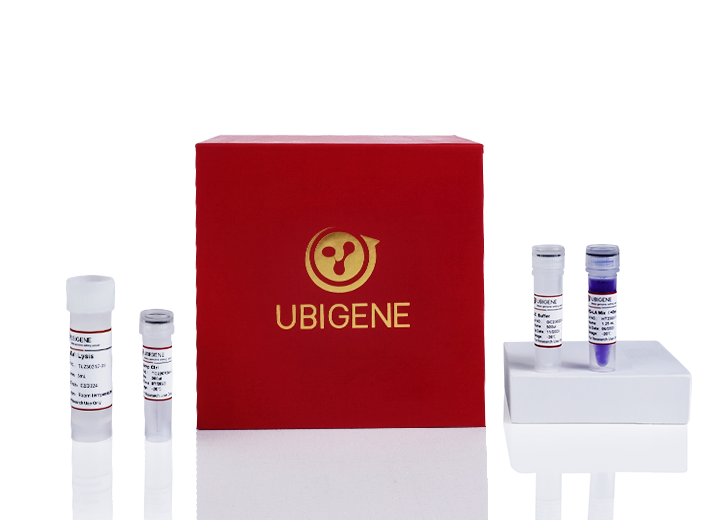 High-performance monoclone genotype validation kit (extractionfree ...