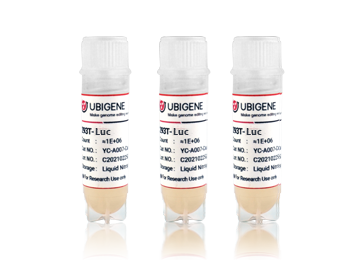 HCC827-CAS9 cell line | Ubigene